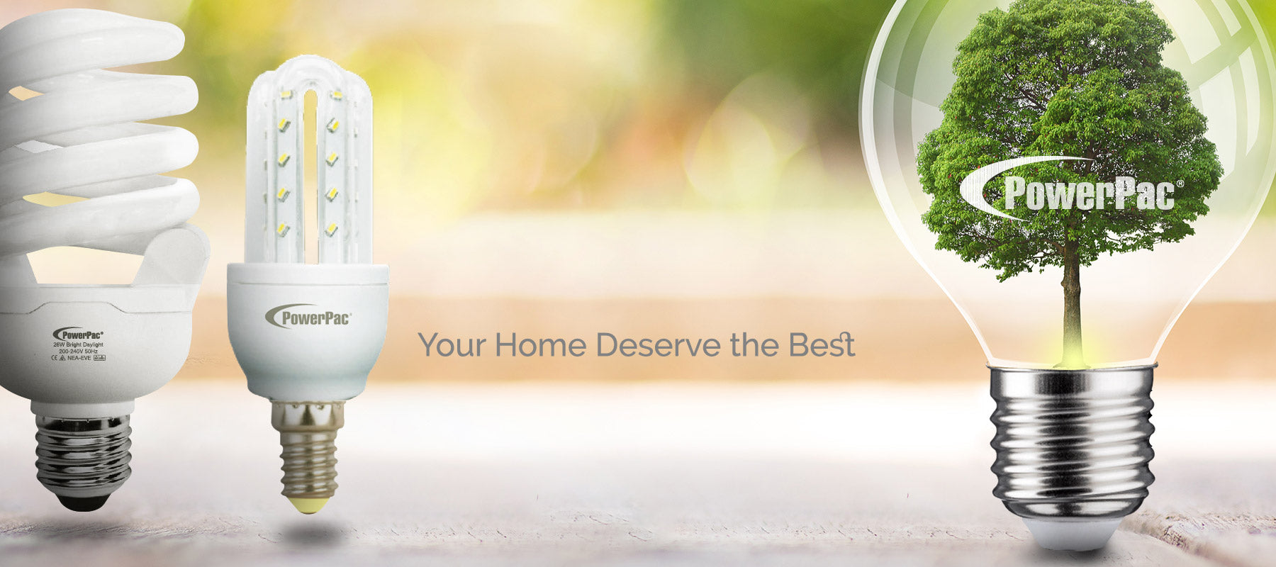 Lights – PowerPacSG